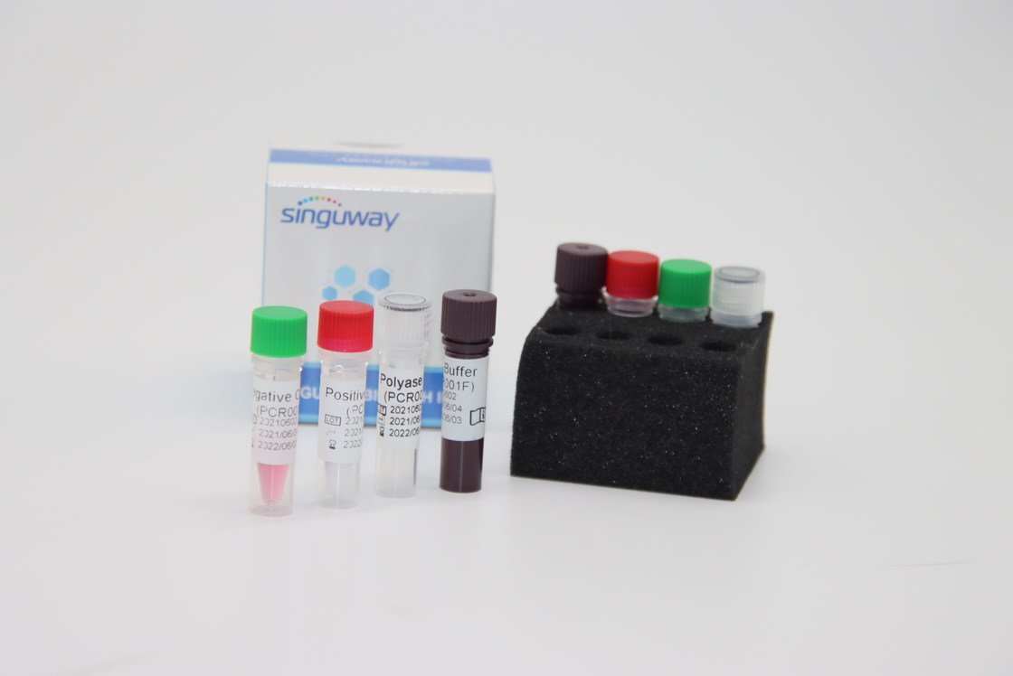Boca Virus HBoV RT PCR Swab Test Kit ISO9001 Quantitative Fluorescent ...