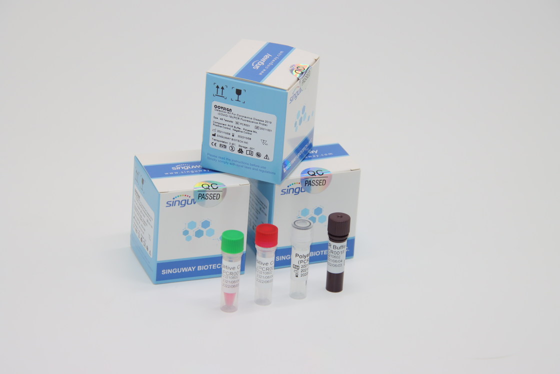 Lab Using RT PCR Covid Test Kits Clinical LP Virus PCR Media Dual Swab ...