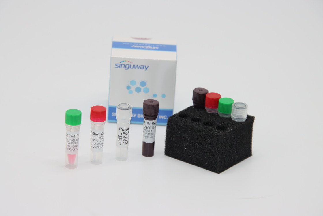 Oral Swab Highly Accurate RT PCR Collection Kit IVD Lab Reagent For ADV ...