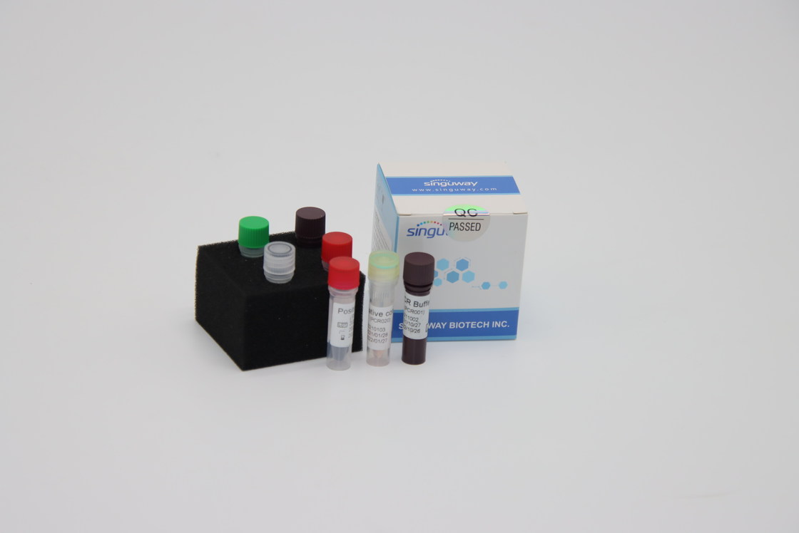 Laboratory Multiplex Fast Real Time RT PCR Detection Kit Reagents For ...