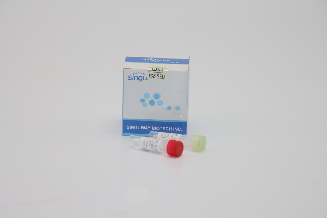 Nucleic Acid Testing Dengue RT PCR Kit Nasal Swab Fluorescent RT PCR Kit