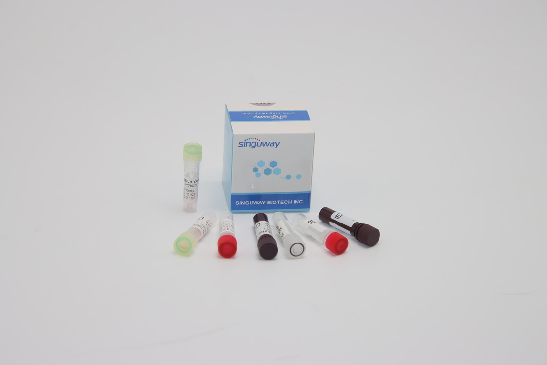 ORF1ab HPV PCR Detection Kit Nucleic Acid Genetic Testing For Clinical ...
