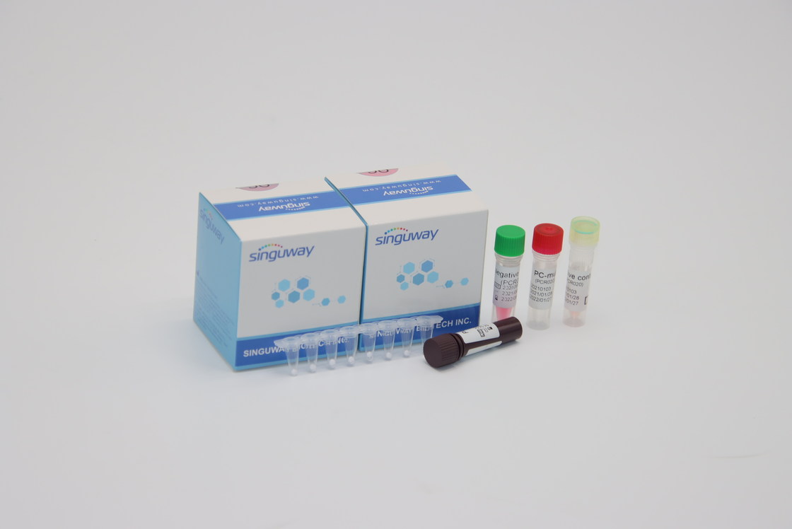 Respiratory Syncytial Viral RT PCR Diagnostic Kit RSV PCR Detection Kit ...