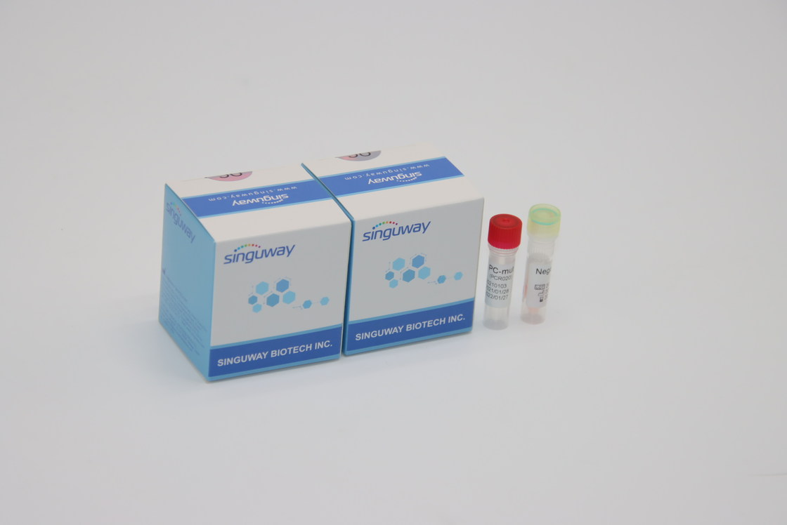 Quantitative Fluorescent PCR Detection Kit IVD For All Corona Virus ...