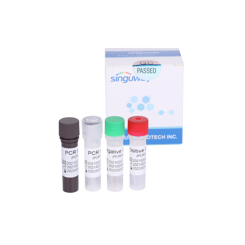 Hepatitis B Virus DNA HBV Real Time PCR Kit Quantitative Diagnostic 30 ...