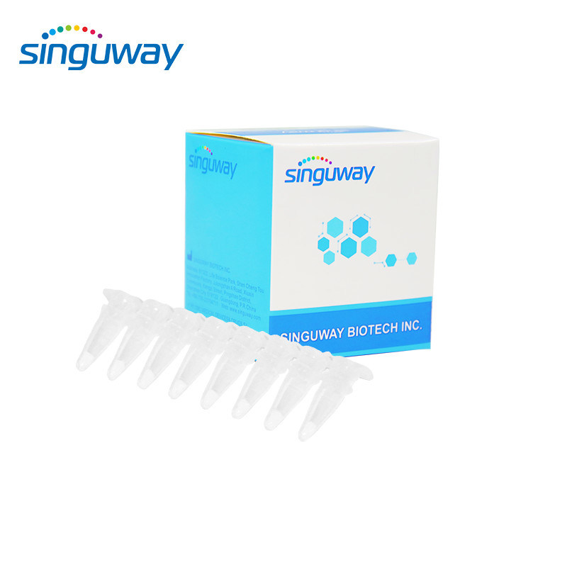 15 Types HPV Real Time PCR Kit 40uL Qualitative HPV PCR Kit For Human