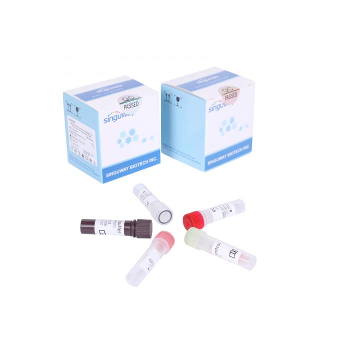 Highly Sensitive Ultrafast RT PCR Test Kit Fluorescent Probe RT PCR ...