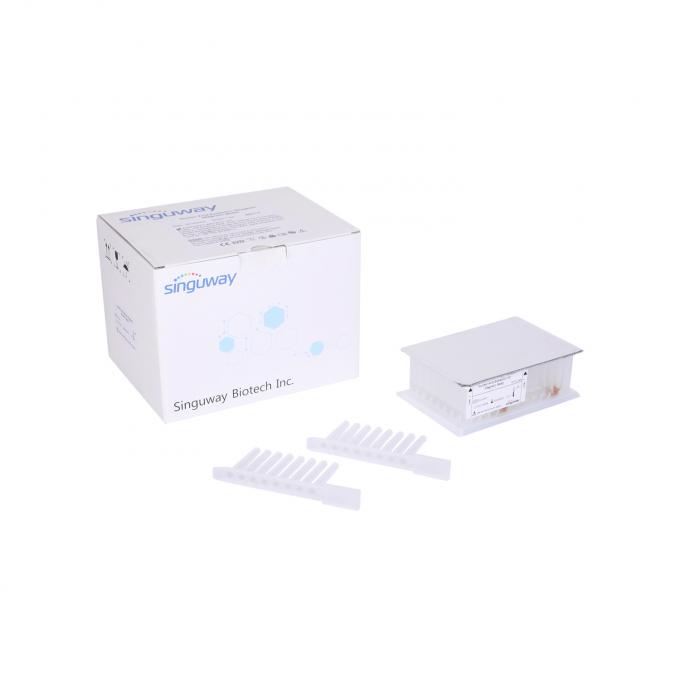 Magnetic Bead Nucleic Acid Extraction Kits Dna Rna Detection Reagent