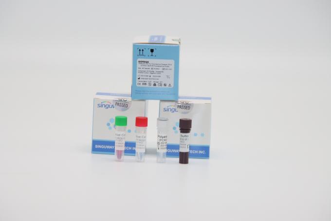Lab Reagent RT PCR Test Kit High Stability For Varicella Zoster Virus ...