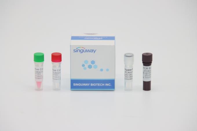 CMV Virus RT PCR Test Kit Real Time Nucleic Acid Testing ISO13485
