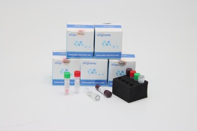 Ultrafast Thalassemia Virus RT PCR Testing Kit Lab Using TB PCR Kit