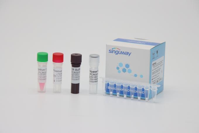 HPV 16 18 Virus Nucleic Acid Testing RT PCR Test Kit ISO13485