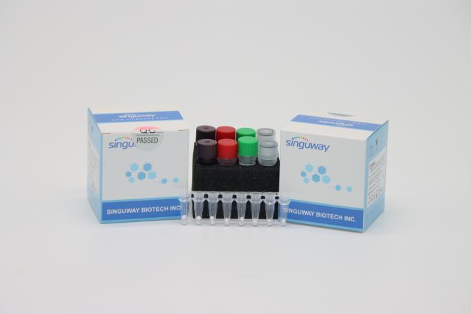 Accurate Dengue Virus RT PCR Test Kit 48 96 Tests Per Kit 20uL Reaction ...