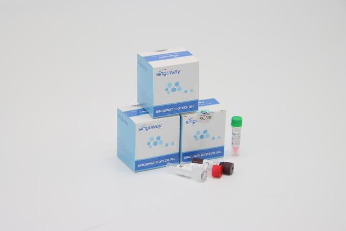 Rapid RSV Virus Instant RT PCR Test Kit POCT IVD Clinical Diagnosis ...