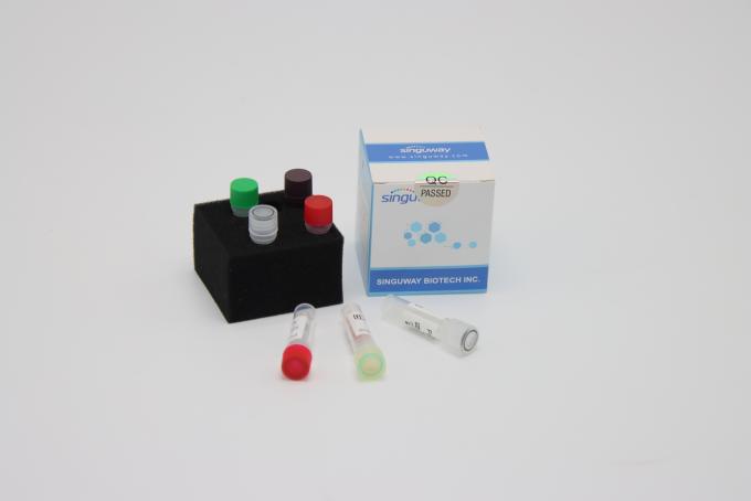 Avian Influenza Virus RT PCR Testing Kit 48 96 Tests Nasal Swab Test Kit