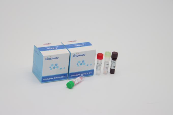 Alpha Beta Delta Gamma Mutations One Step QPCR Kit Oral Swab For Lab Using