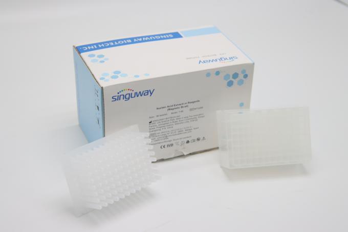 Sensitive Viral RNA Purification Kits Magnetic Bead High Pure Viral ...